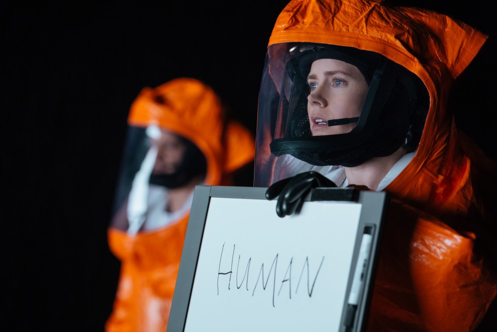 It's Amy Adams' Turn For Oscar Glory... | Filmoria
