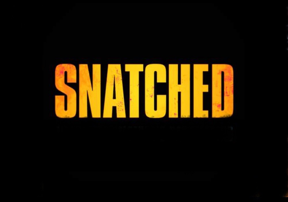 Snatched (2017) Review | Filmoria
